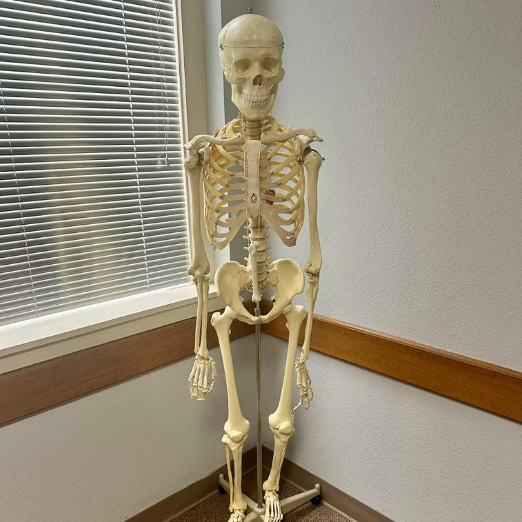 Bone DXA Scans – AR Bone Health LLC